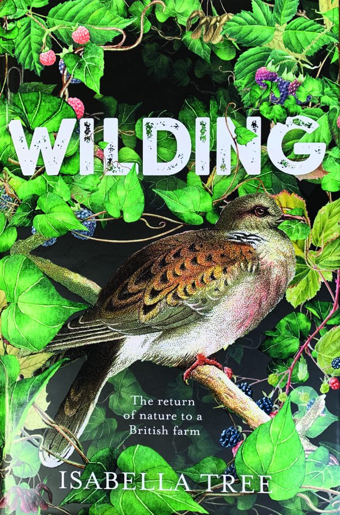 Wilding by Isabella Tree (Book Review) - SWARA Magazine