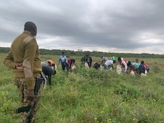 KWS, FoNNaP and Youth Unite to Remove Invasive Weed from Nairobi ...